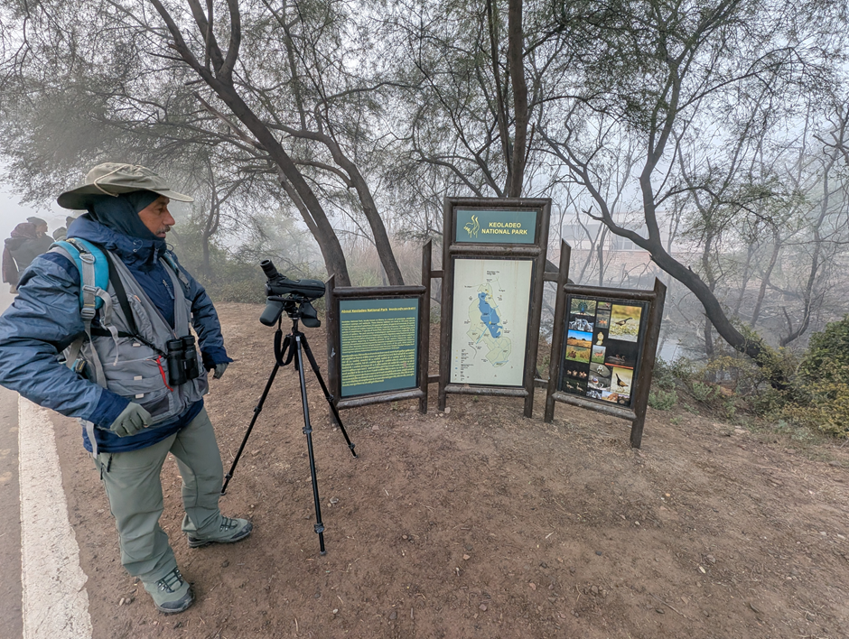 Keoladeo- The Birders’ paradise and encounter with the great Mr ...